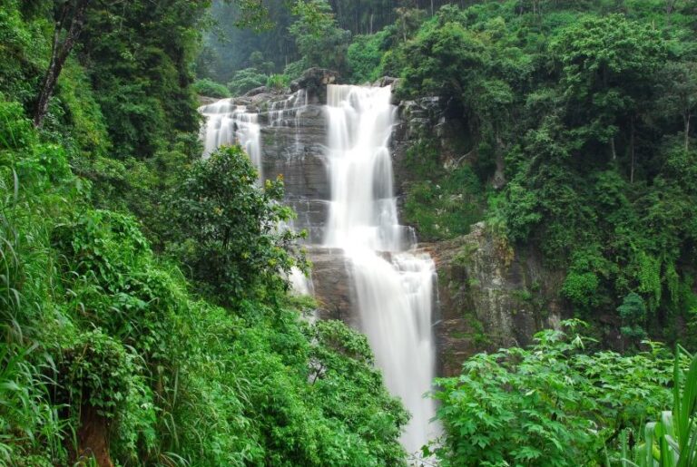 Explore the Best Waterfalls in Kasauli to Visit in 2024 - Brook and Pines