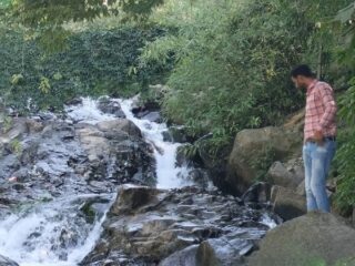 Explore the Best Waterfalls in Kasauli to Visit in 2024 - brook n pines ...