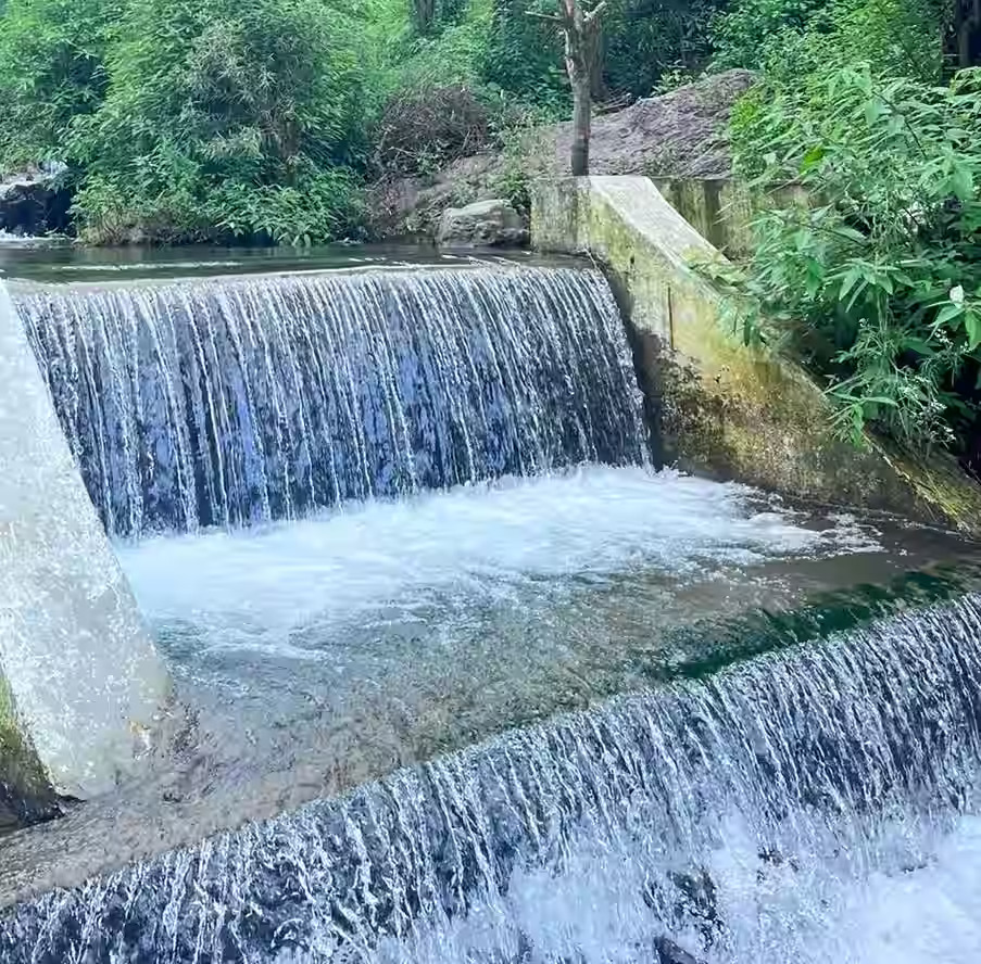 Explore the Best Waterfalls in Kasauli to Visit in 2024 - brook n pines ...